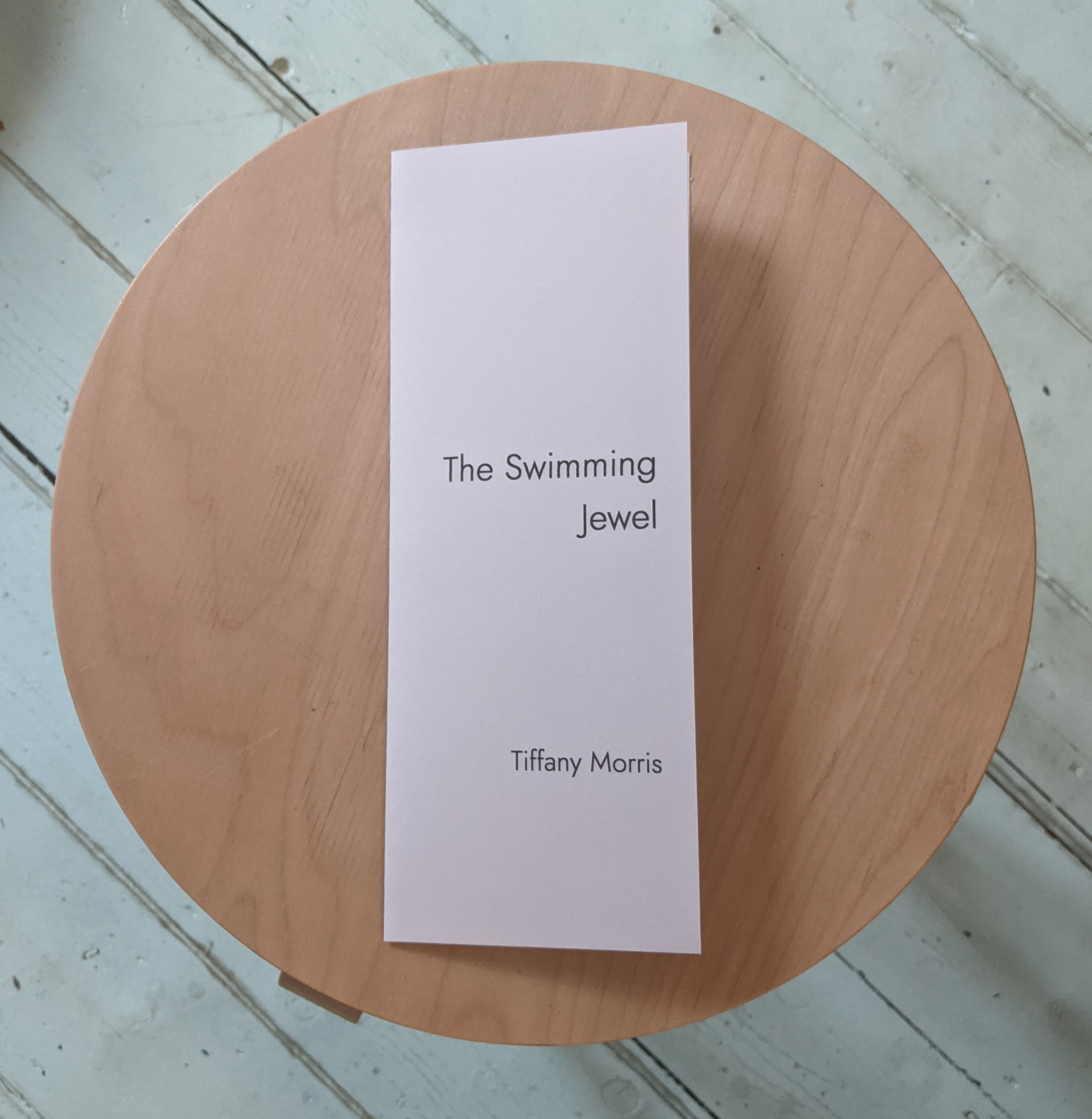 The Swimming Jewel by Tiffany Morris – Annick MacAskill