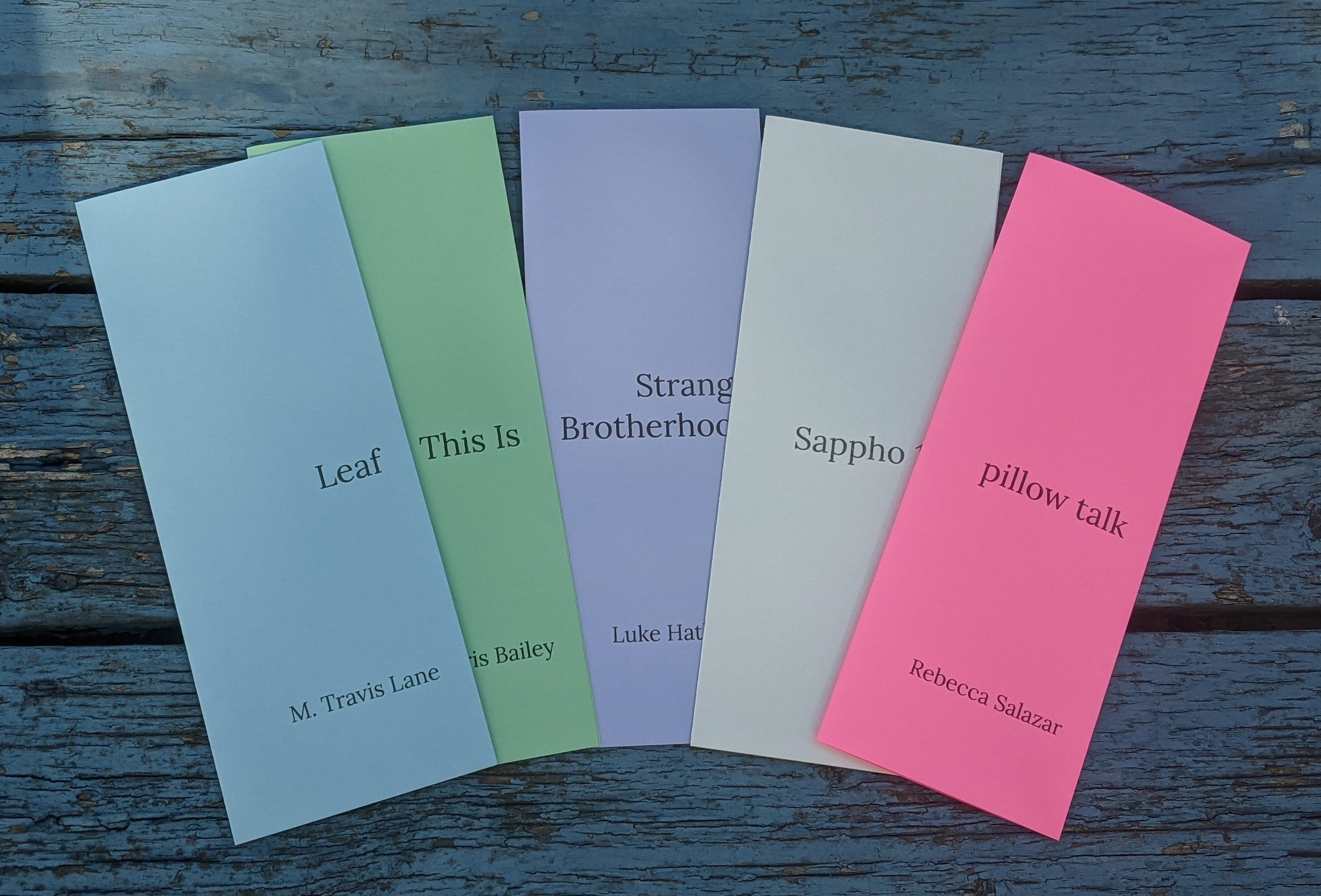 367 Days Later: Reflecting on a Year of Opaat Press – Annick MacAskill